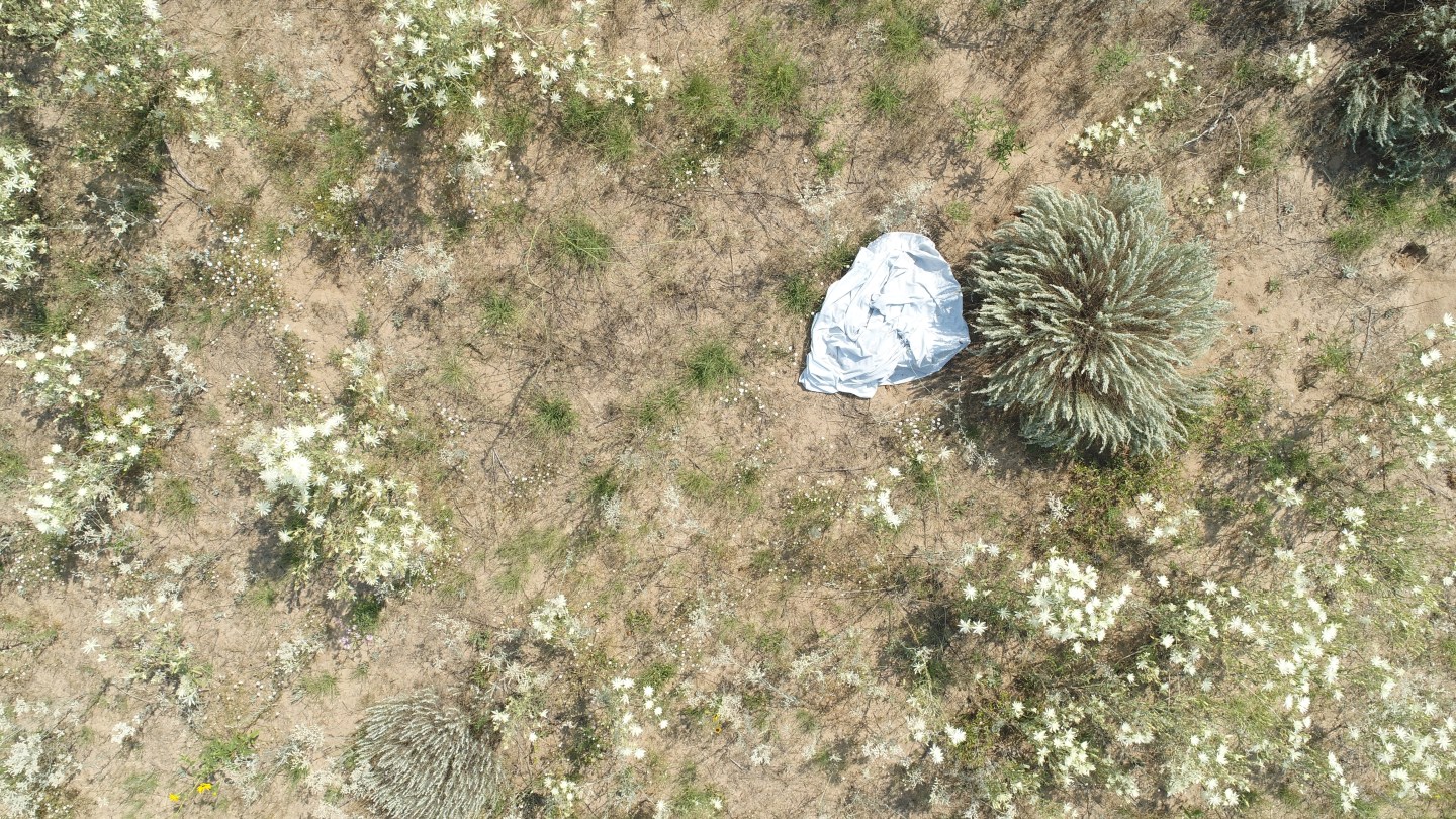Drone Photos of CERVI 319 | True Crime Rocket Science II
