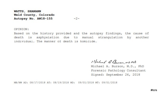 Shan’ann, Bella and Celeste Watts: 25 Page Autopsy Report | True Crime Rocket Science II