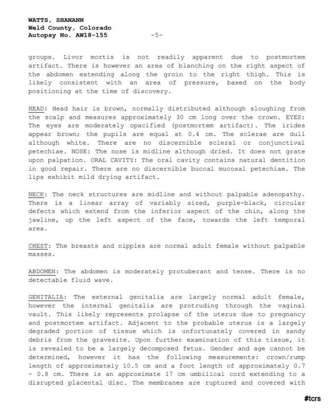 Shan’ann, Bella and Celeste Watts: 25 Page Autopsy Report | True Crime Rocket Science II