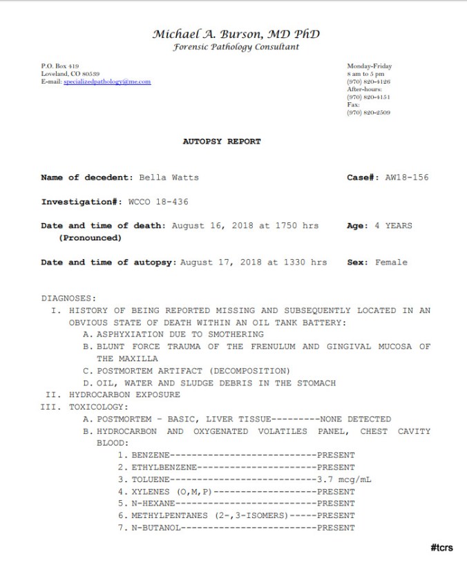 Shan’ann, Bella and Celeste Watts: 25 Page Autopsy Report | True Crime ...