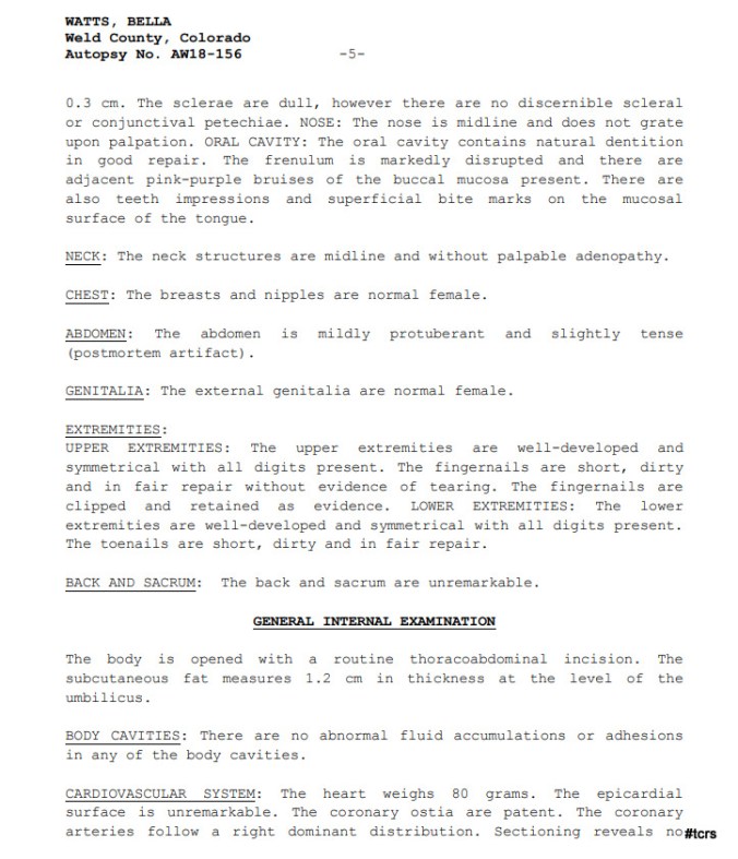 Shan’ann, Bella and Celeste Watts: 25 Page Autopsy Report | True Crime Rocket Science II