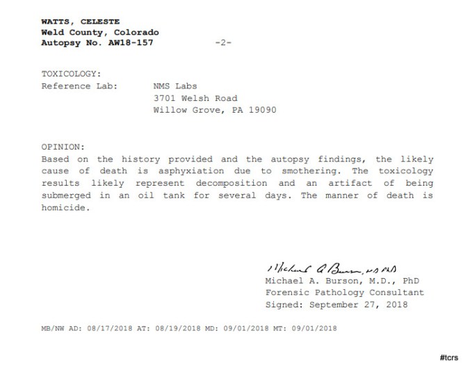 Shan’ann, Bella and Celeste Watts: 25 Page Autopsy Report | True Crime ...