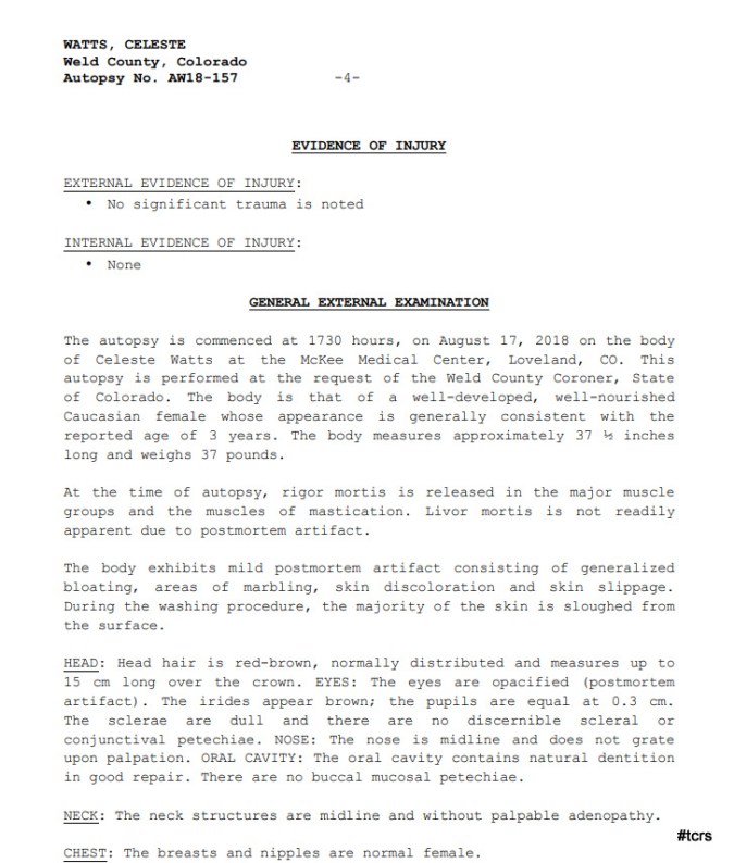 Shan’ann, Bella and Celeste Watts: 25 Page Autopsy Report | True Crime Rocket Science II